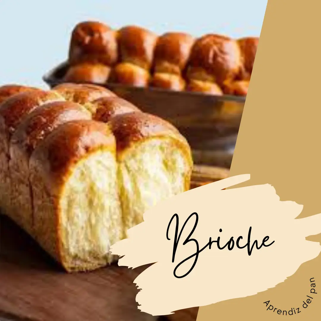 Panterapia | Darimarketer